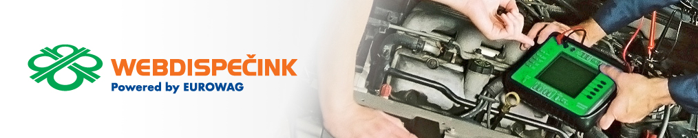 Vehicle diagnostics - Webdispatching